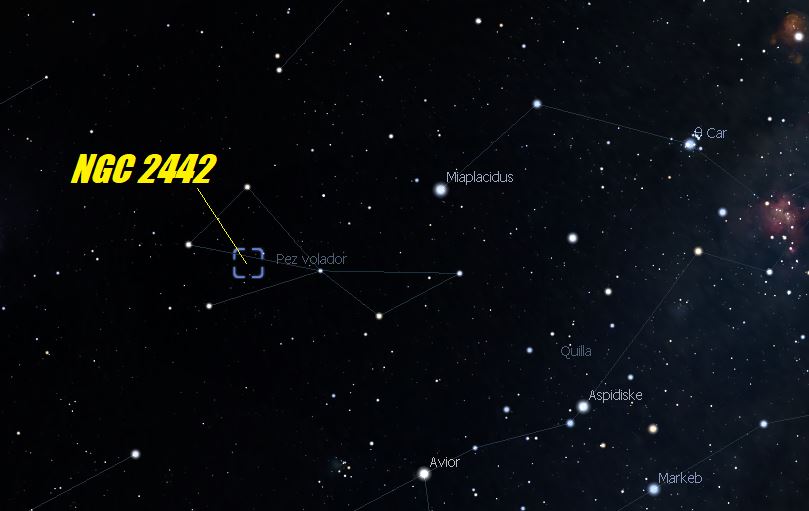 La Galaxia del Pez Volador – CURIOSIDADES ASTRONÓMICAS